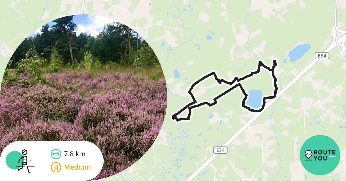 De lilse Bergen 8km - Recreatieve wandelroute | RouteYou