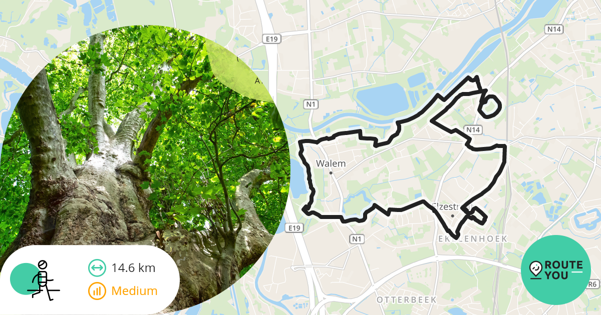 Bomentocht bij Walem - Recreatieve wandelroute | RouteYou