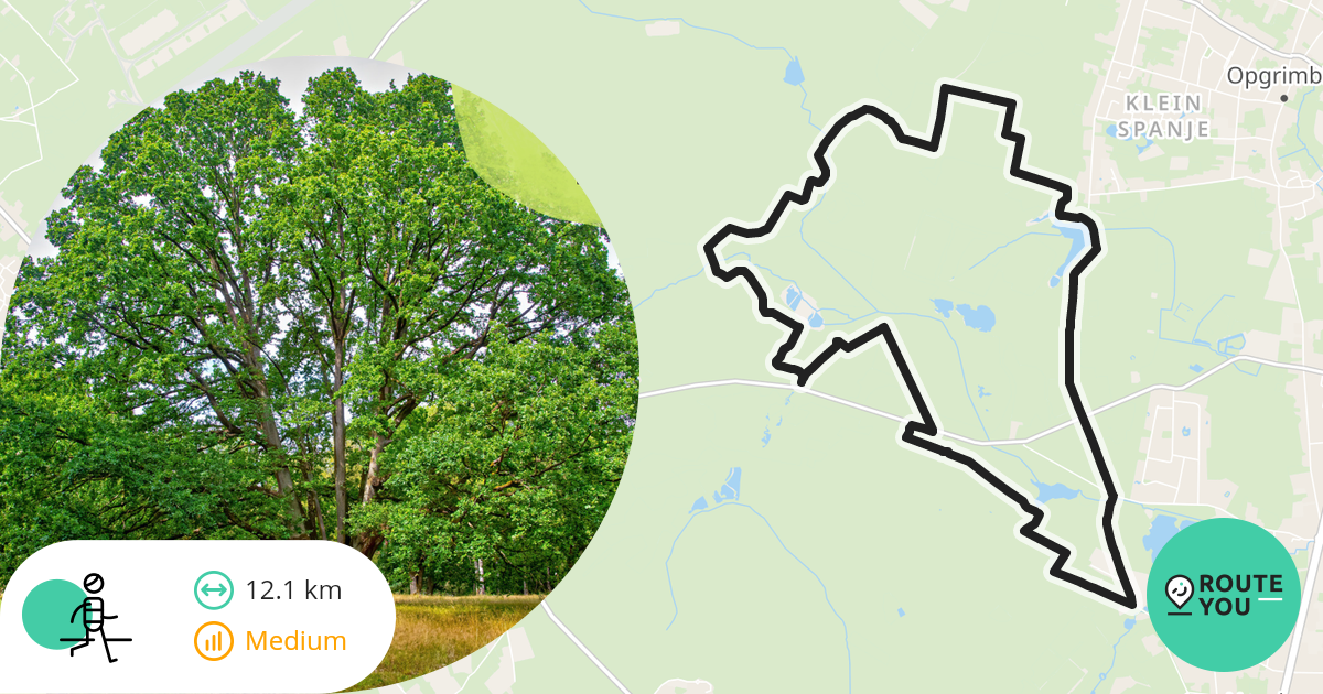 Groene wandeling door de Ziepbeekvallei - Recreatieve wandelroute ...