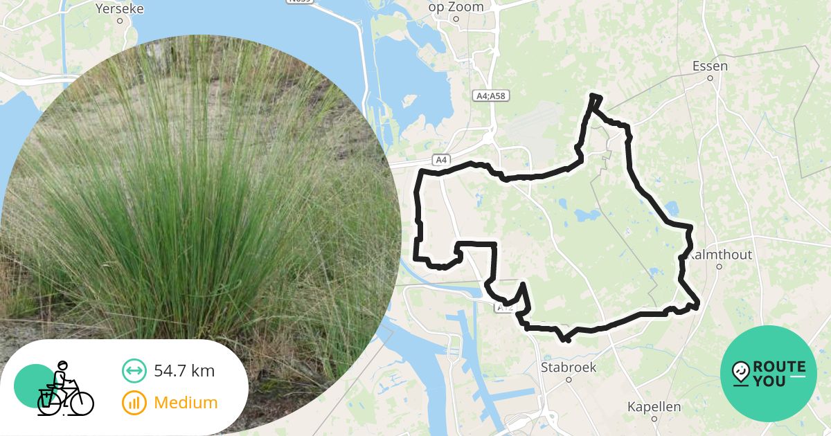 Stabroek ten noorden - Recreatieve fietsroute | RouteYou
