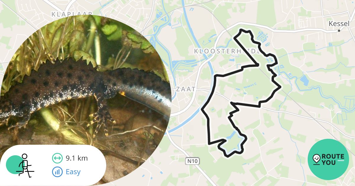 Girafke - Fort van Lier-Kleine/Grote Nete - Wandelroute | RouteYou