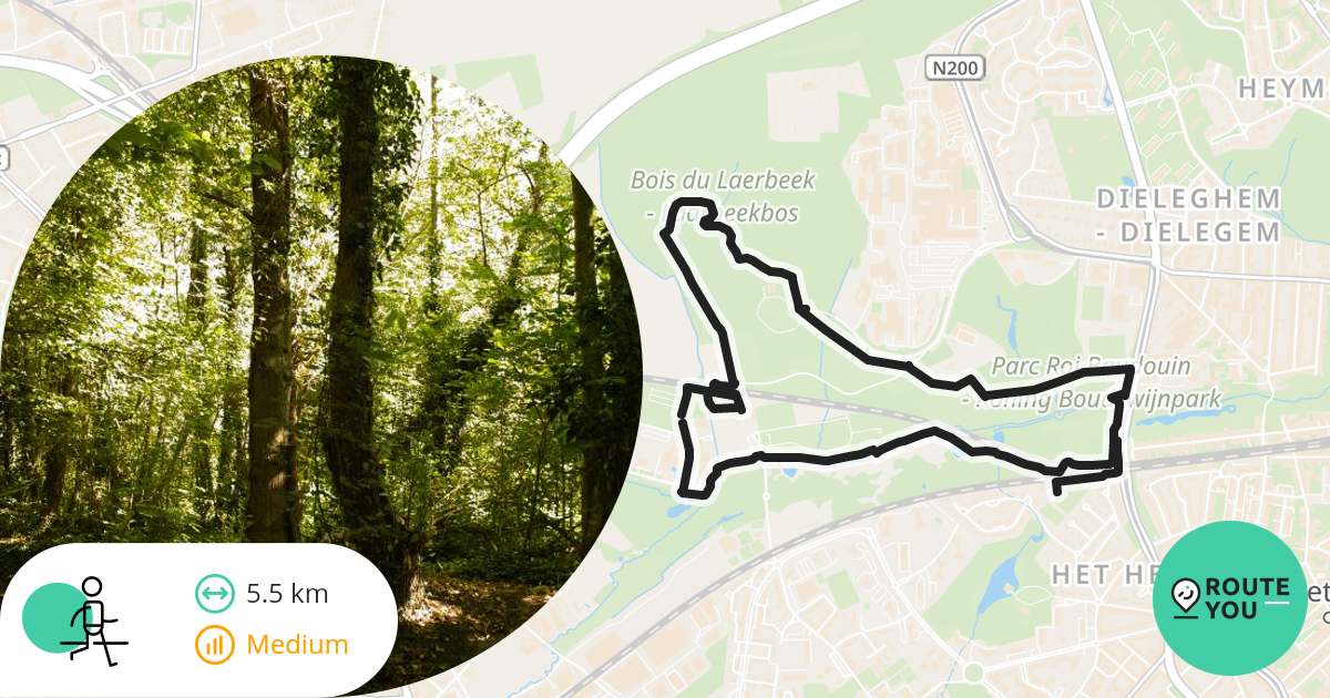 Moeras Ganshoren - Wandelroute | RouteYou