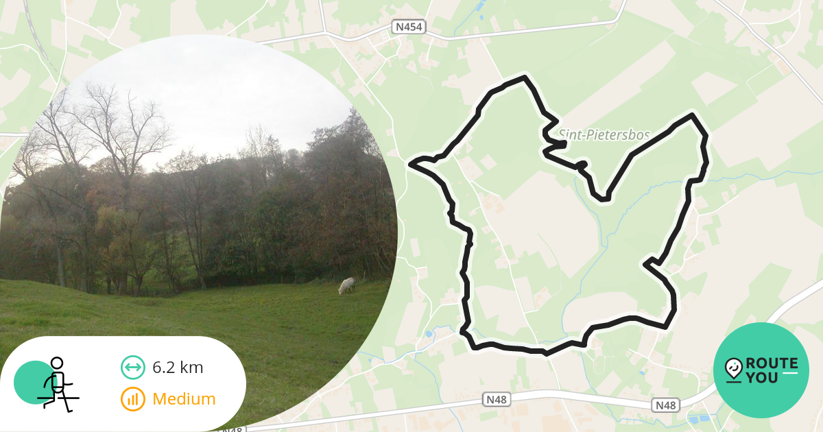 Muziekbos-Ronse - Wandelroute | RouteYou