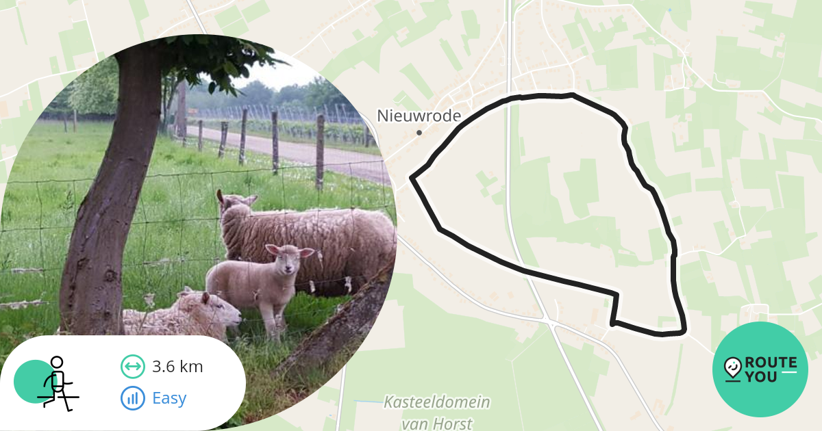 Wandeling Nieuwrode 3.63 km - Wandelroute | RouteYou