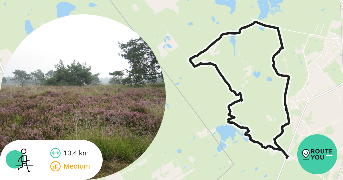 Kalmthoutse Heide kort - Wandelroute | RouteYou