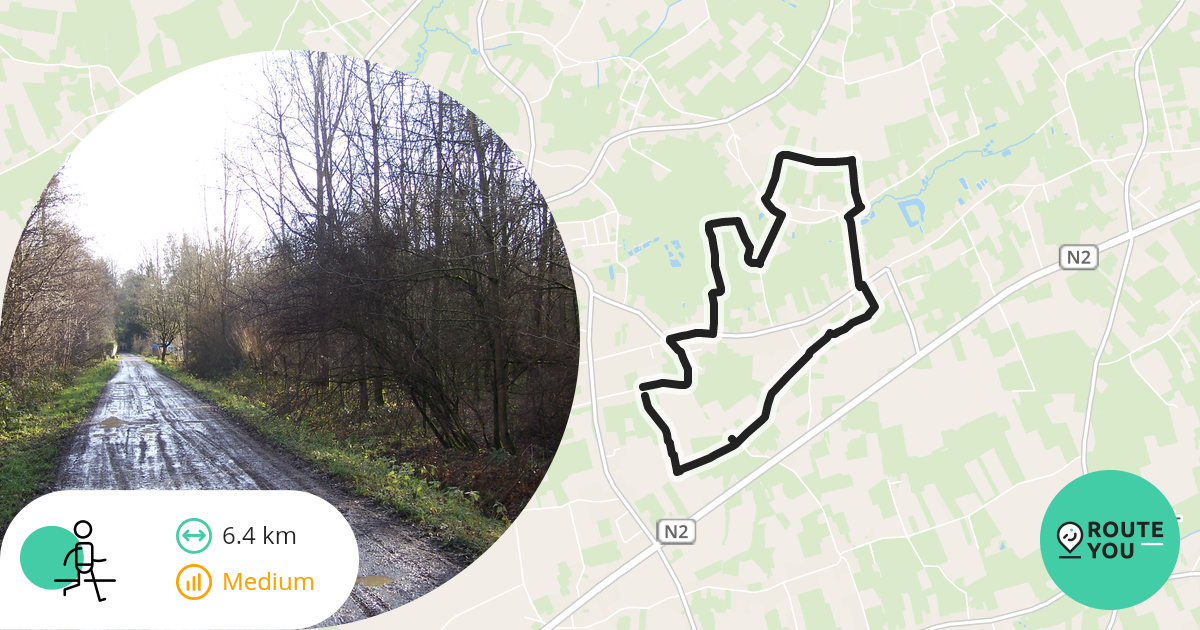 Tielt-Winge oostelijke lus - Wandelroute | RouteYou