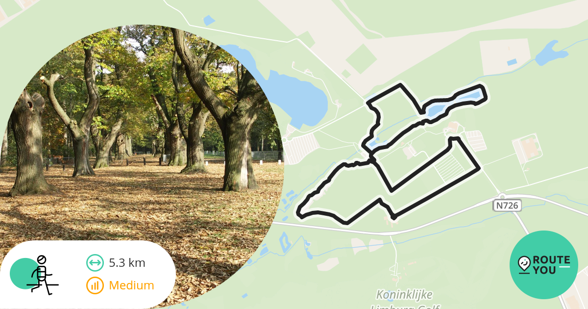 Houthalen-Bosberg - Recreatieve wandelroute | RouteYou