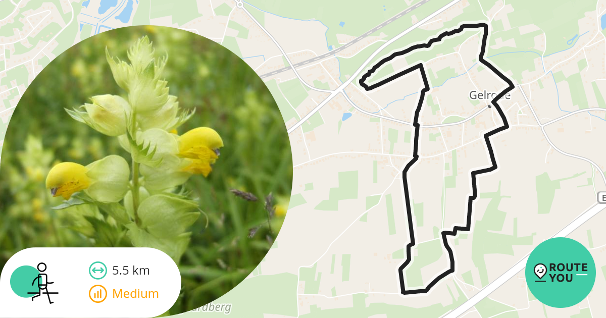Gelrode 5,5 km wandelknooppunten - Wandelroute | RouteYou