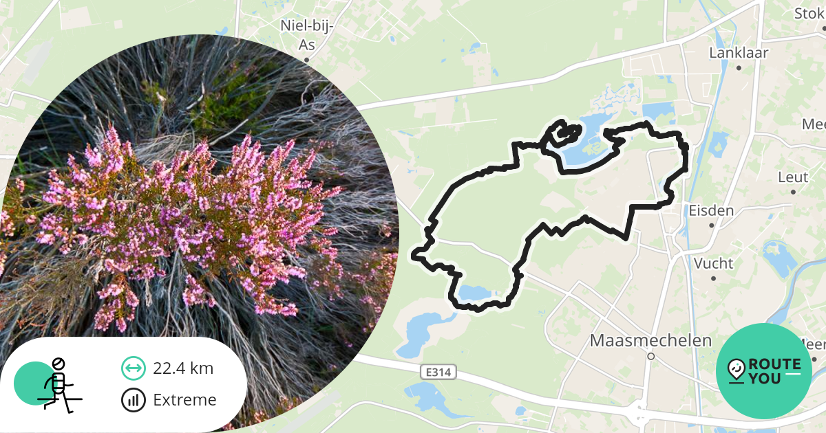 Maasmechelen-Terhills - Recreatieve wandelroute | RouteYou