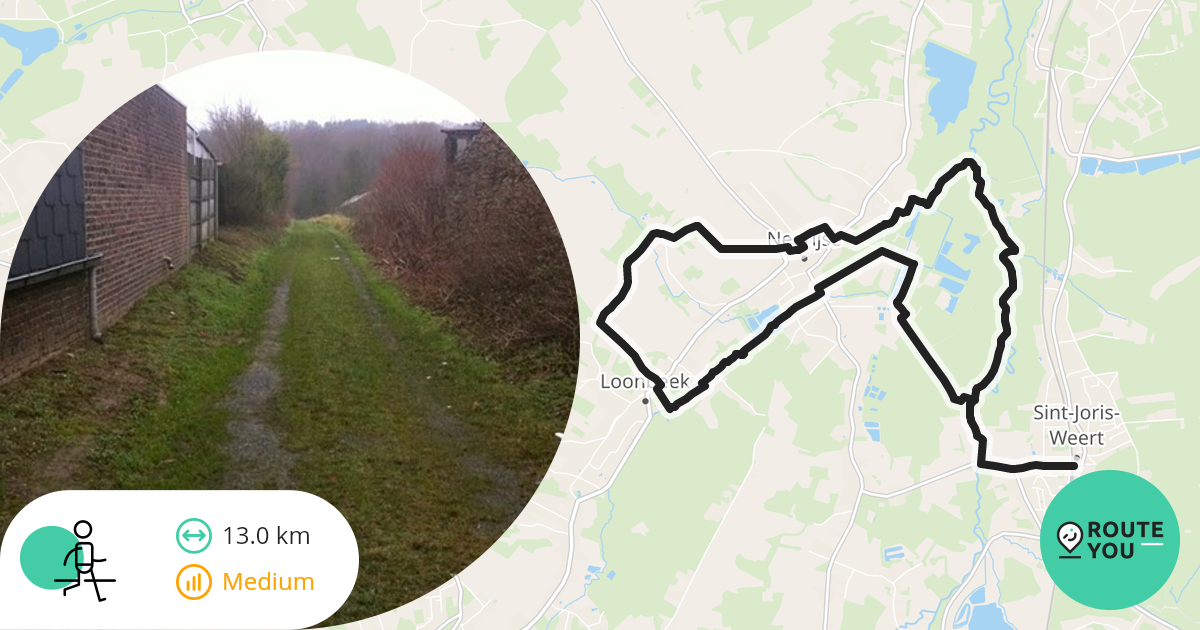 Vanuit station St Joris Weert naar Doode Beemden en Neerijsee ...