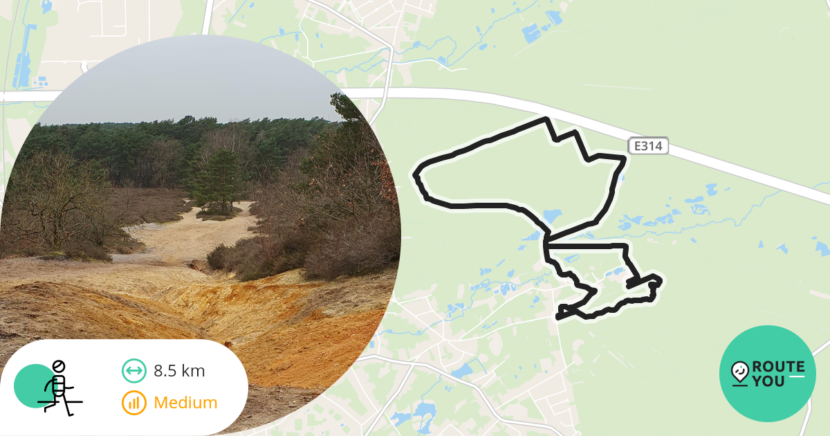 Zonhoven de Teut vanaf Holsteenbron - Recreatieve wandelroute | RouteYou