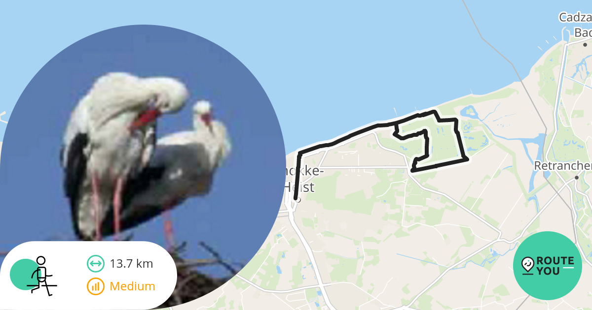 Knokke Zwin - Wandelroute | RouteYou