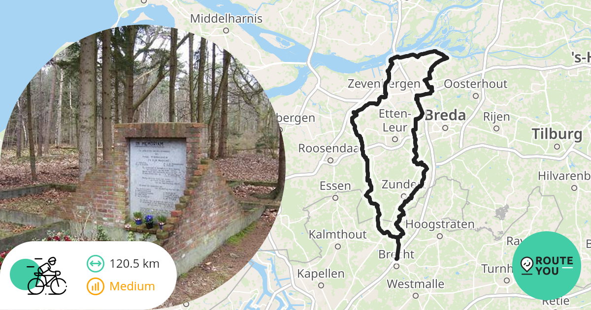 Biesbos - WTC Mastentop - Racefietsroute | RouteYou