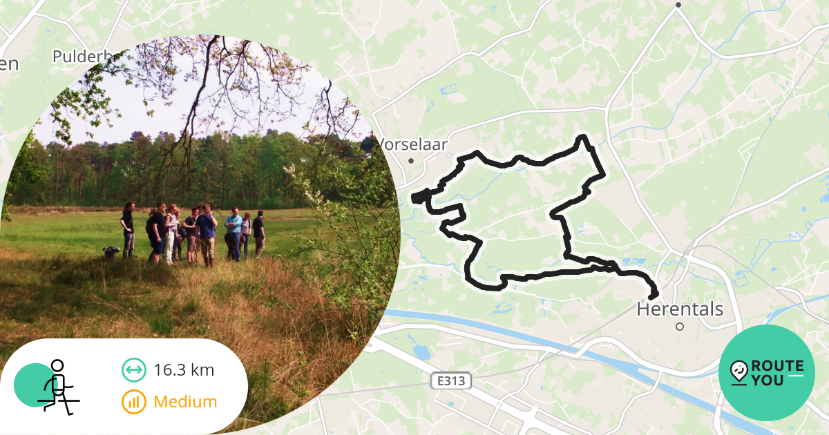 #10. Kleine Nete en Aa - Wandelroute | RouteYou