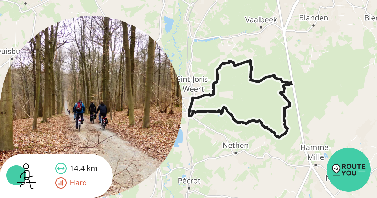 #14. Meerdaalwoud - Wandelroute | RouteYou