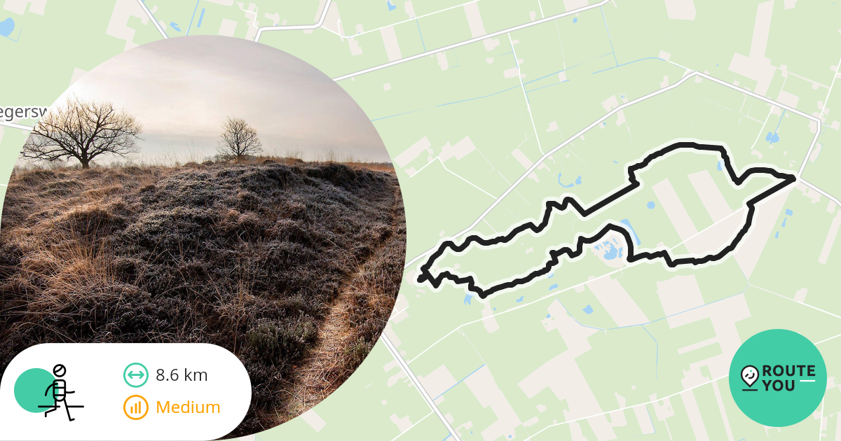 Groot rondje Bakkeveense Duinen - Recreatieve wandelroute | RouteYou