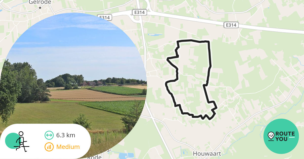 In het hart van het Hageland tussen appel en druif! - Wandelroute ...