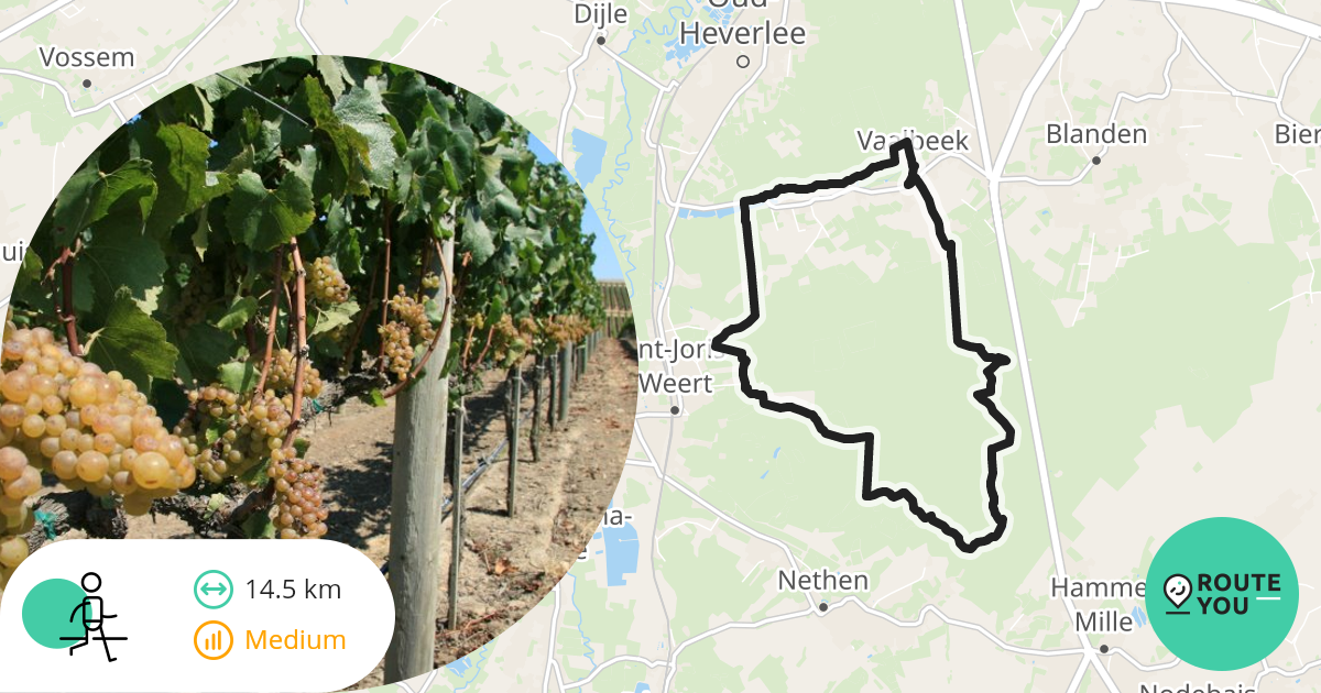 Avontuur in het Meerdaalwoud - Wandelroute | RouteYou