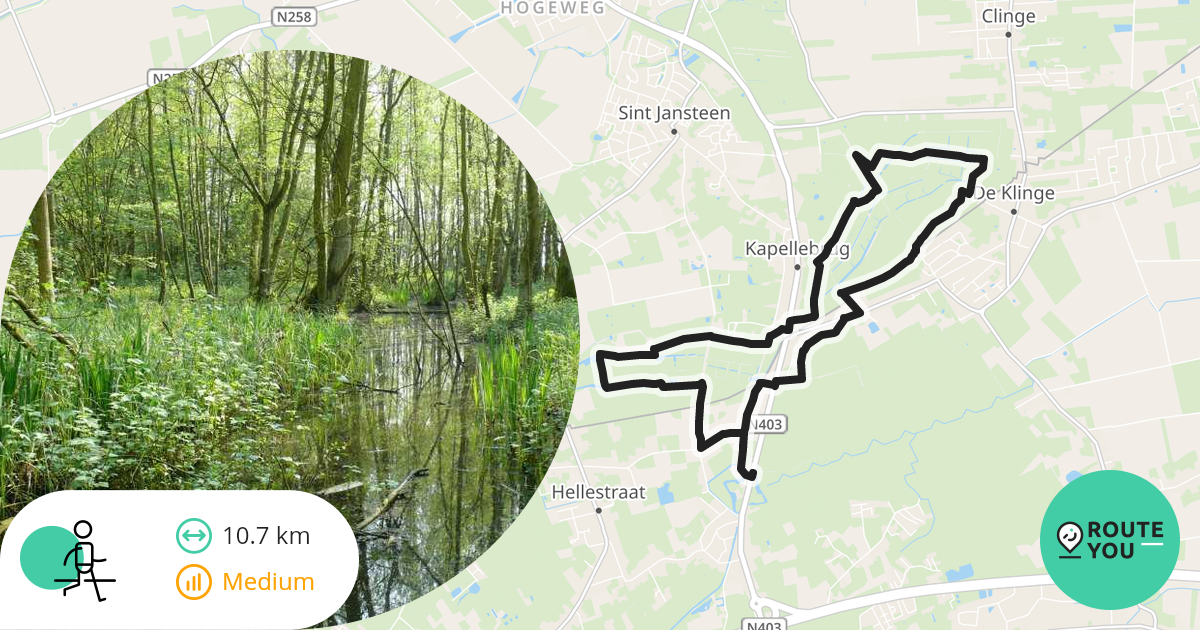 Toerke Klingse bos en Steense bos - Wandelroute | RouteYou