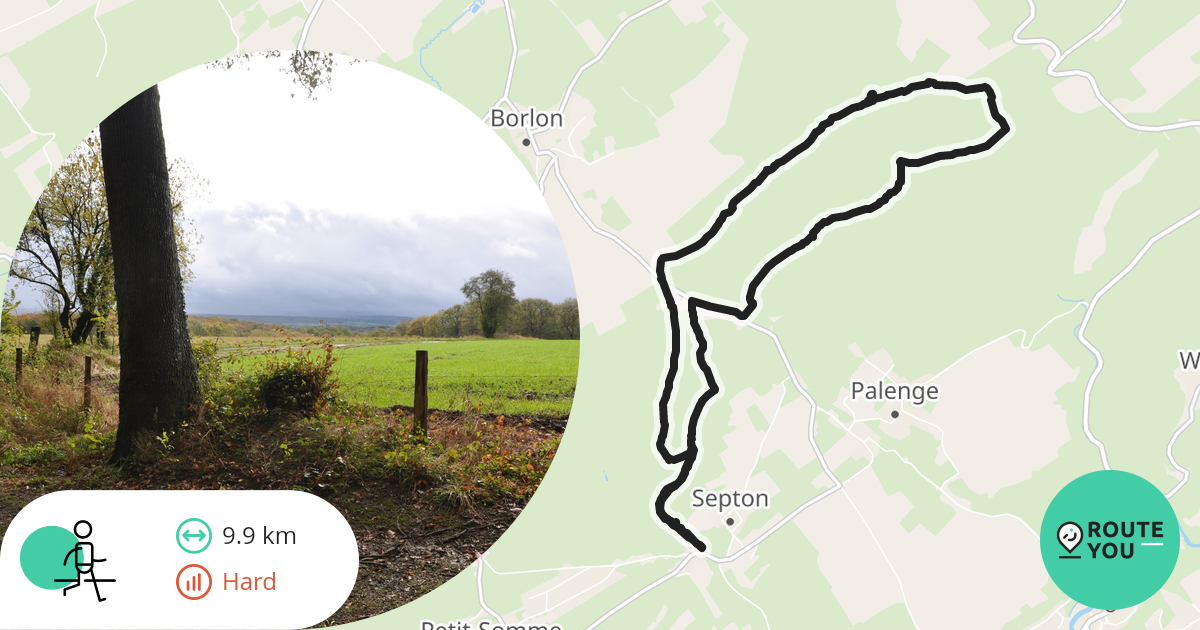 Rustige wandeling in het 'bois du pays' - Wandelroute | RouteYou