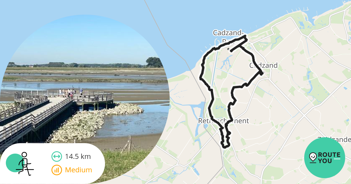 Wandelen langs het Zwin - Wandelroute | RouteYou