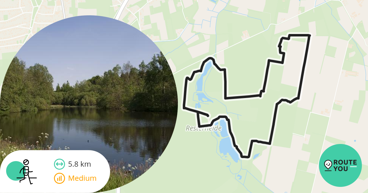 Resterheide - Blauwe Route Het Reigerpad - Recreatieve wandelroute | RouteYou