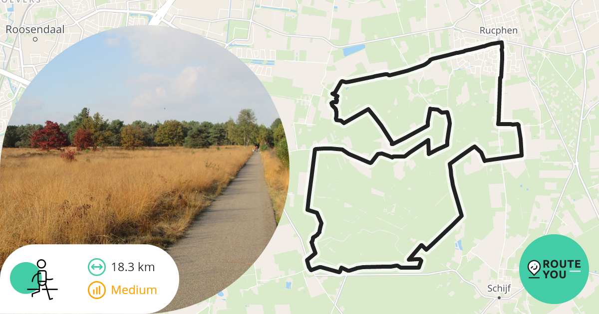 Wandeling Rucphense Heide - Wandelroute | RouteYou
