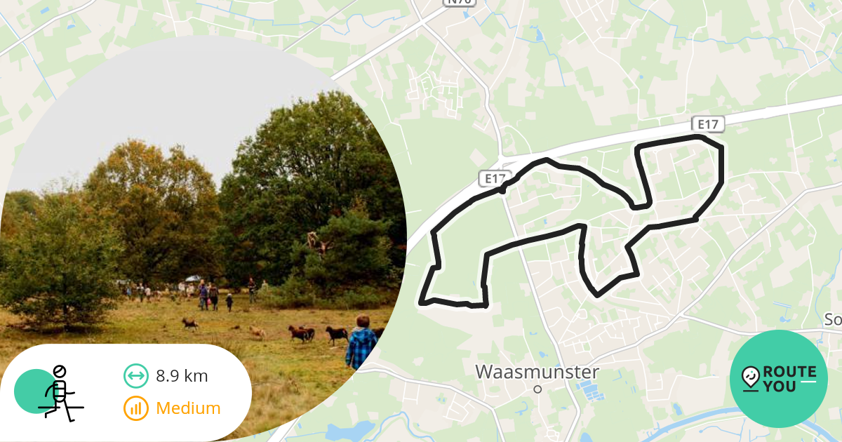 Heide Waasmunster - Recreatieve wandelroute | RouteYou