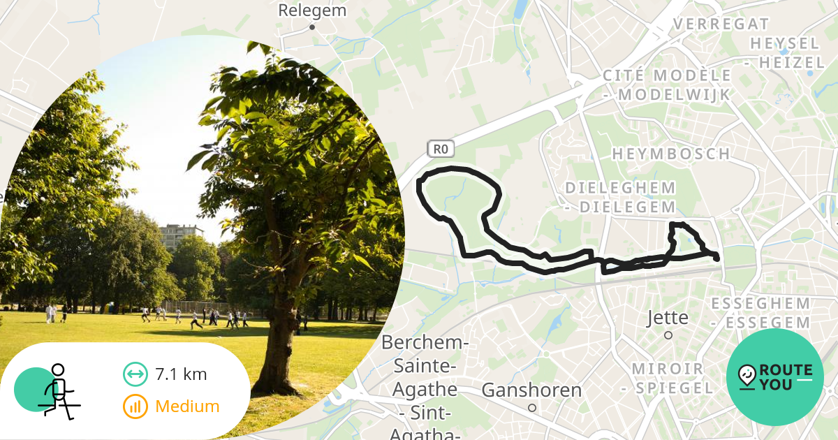 Koning Boudewijnpark, Laarbeekbos - Wandelroute | RouteYou