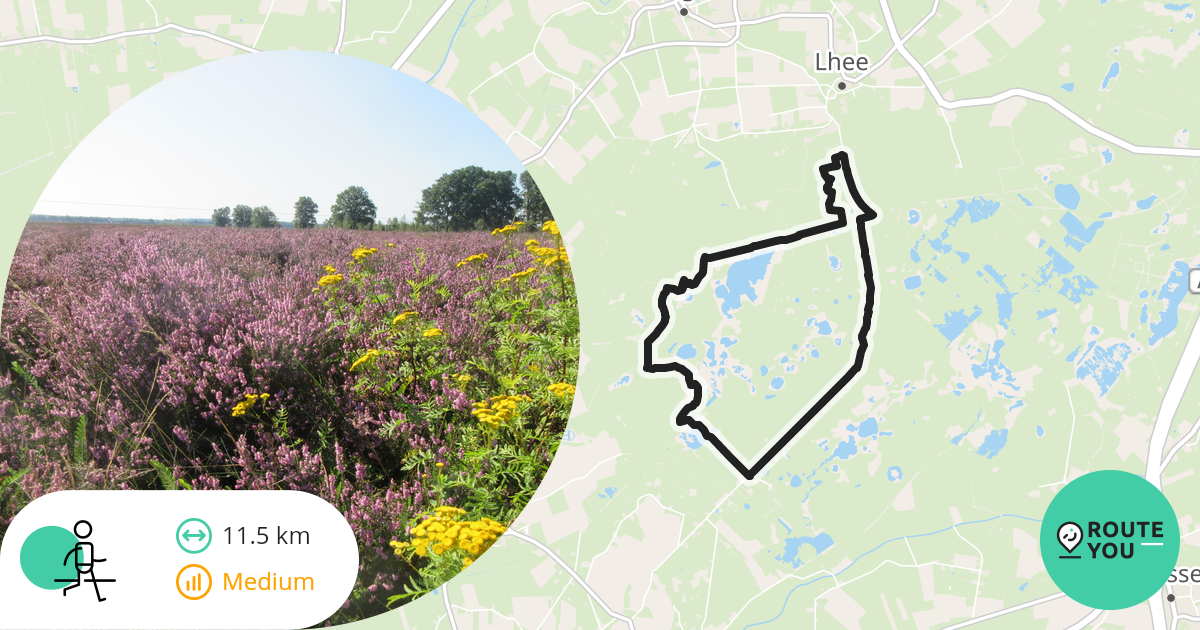 heidewandeling dwingelderveld - Wandelroute | RouteYou