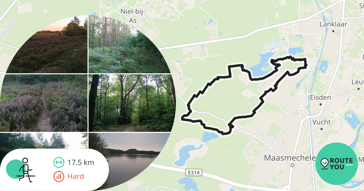 Park Hoge Kempen. Heide, bos en Terhills - Wandelroute | RouteYou