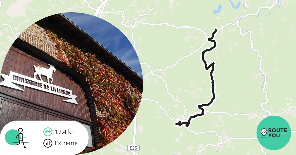 Basse-Bodeux - wild bivak Pierre de la Falhotte - Wandelroute | RouteYou