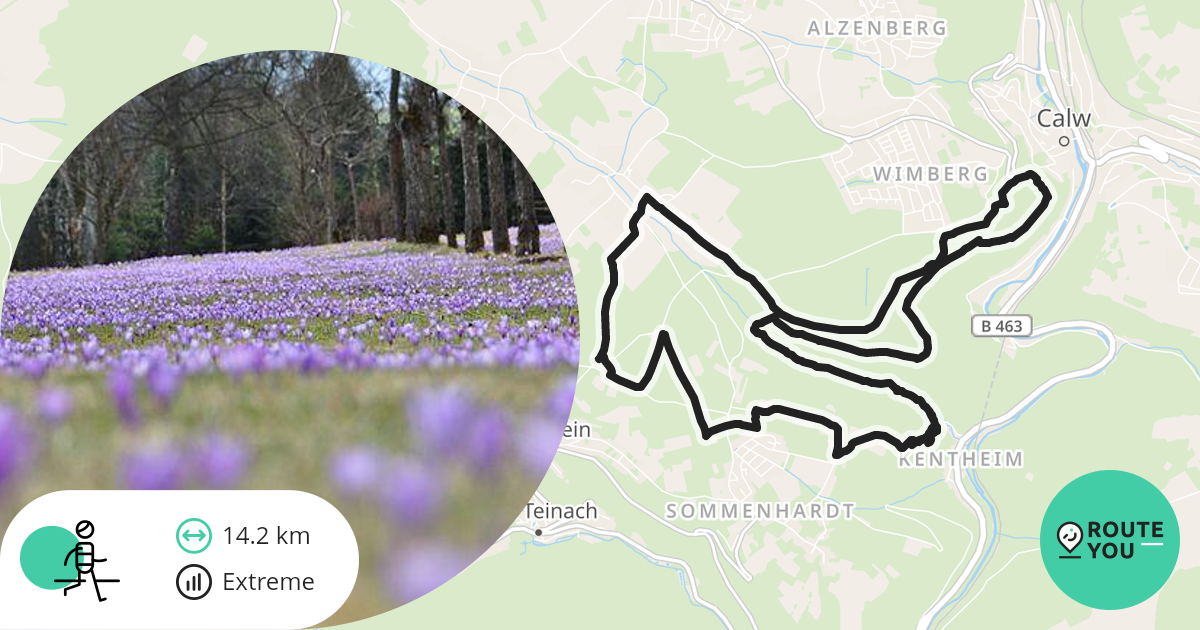 Wasser-, Wald- und Wiesenpfad / Zavelstein > Calw (Premiumweg ...