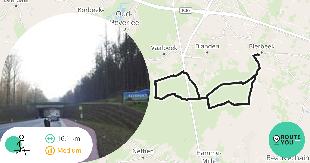 Bierbeek loopt 10 miles 2024 - Wandelroute | RouteYou