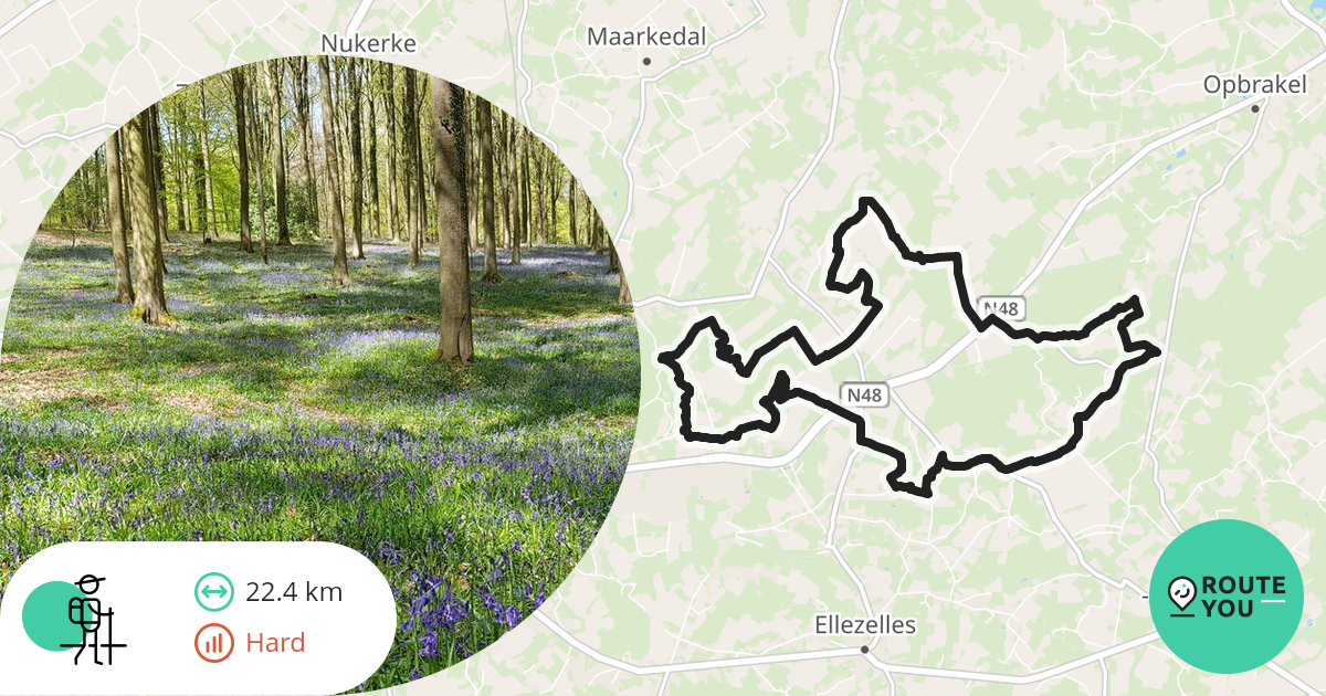 Between Brakelbos and Muziekbos hiking trail - Hiking route | RouteYou