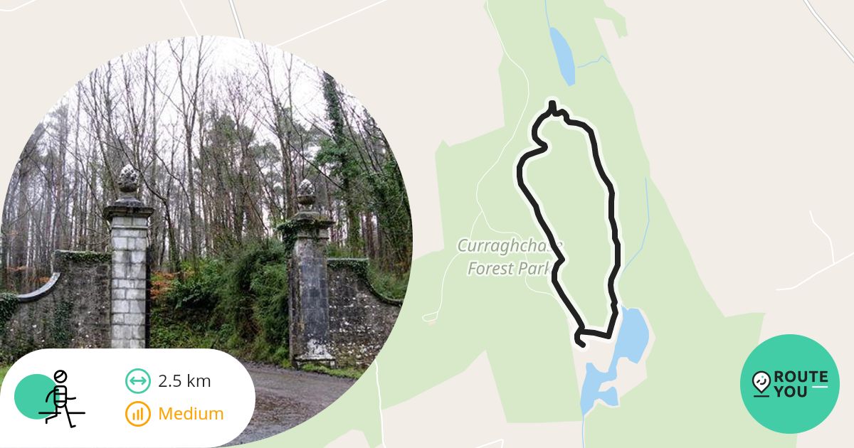 Curraghchase Forest Park: Curragh Trail - Recreational walking route ...