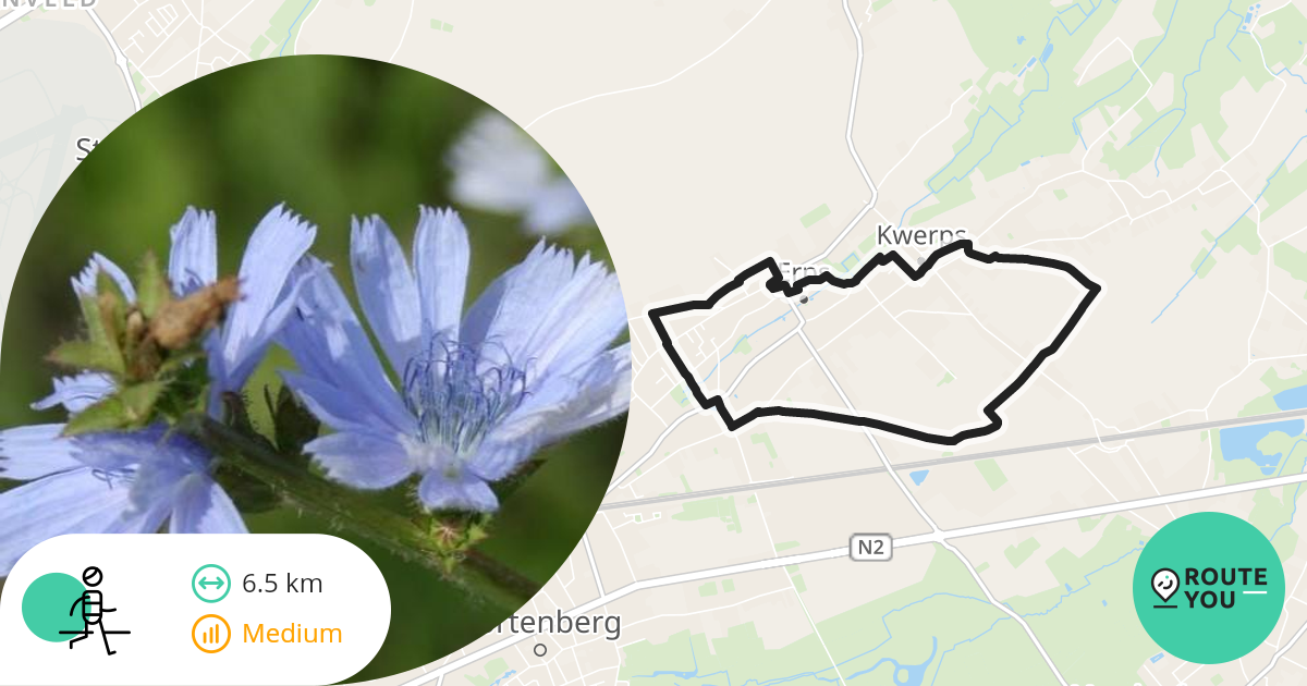 Vrijdag-na-de-noenwandeling - 3 mei 2024 - Kerk Erps - Kortenberg ...