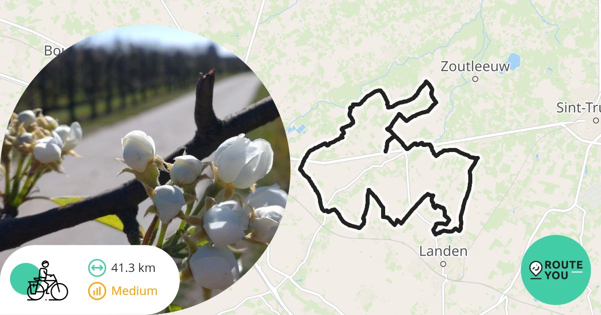 Bloesemtocht Linter 2025 40km - Recreatieve fietsroute | RouteYou