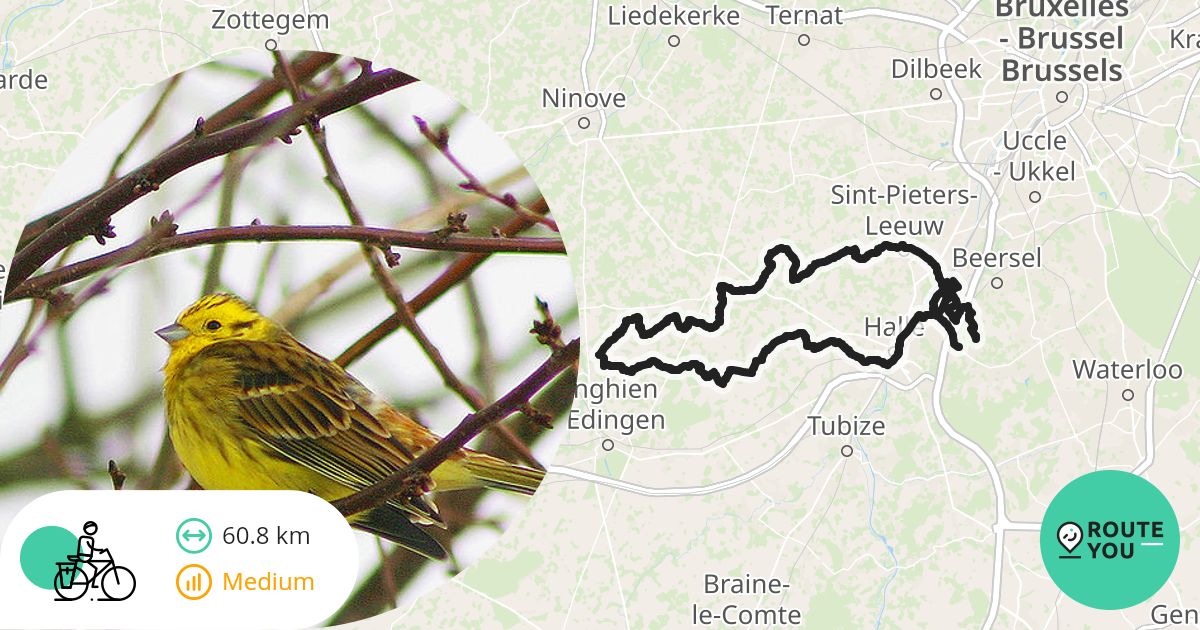 Gordel 2025 Huizingen 60km - Recreatieve fietsroute | RouteYou