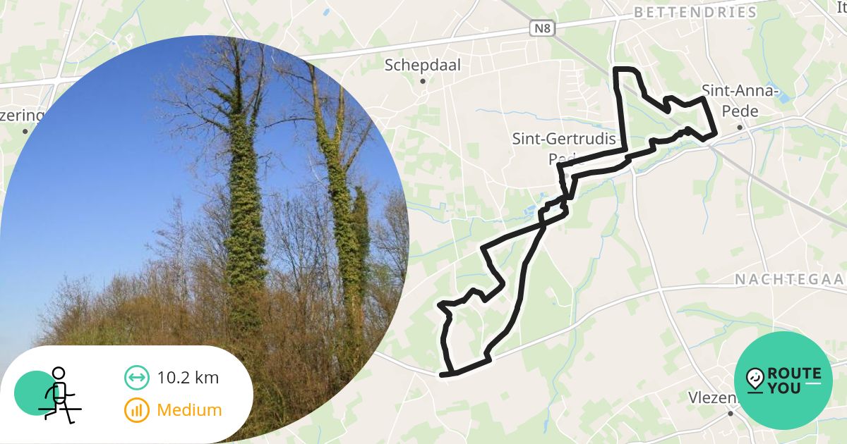 Lus begint in Halle-Vilvoorde 21-06-25 - Wandelroute | RouteYou