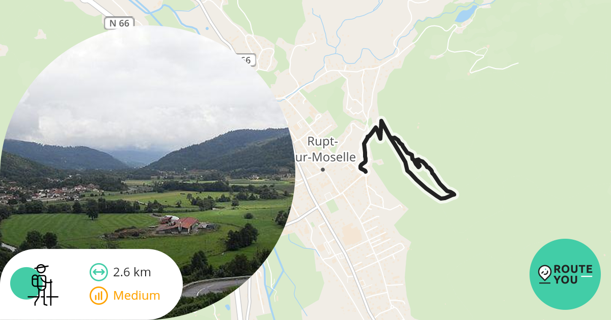 Circuit de la Croix Parrier - Itinéraire de randonnée | RouteYou