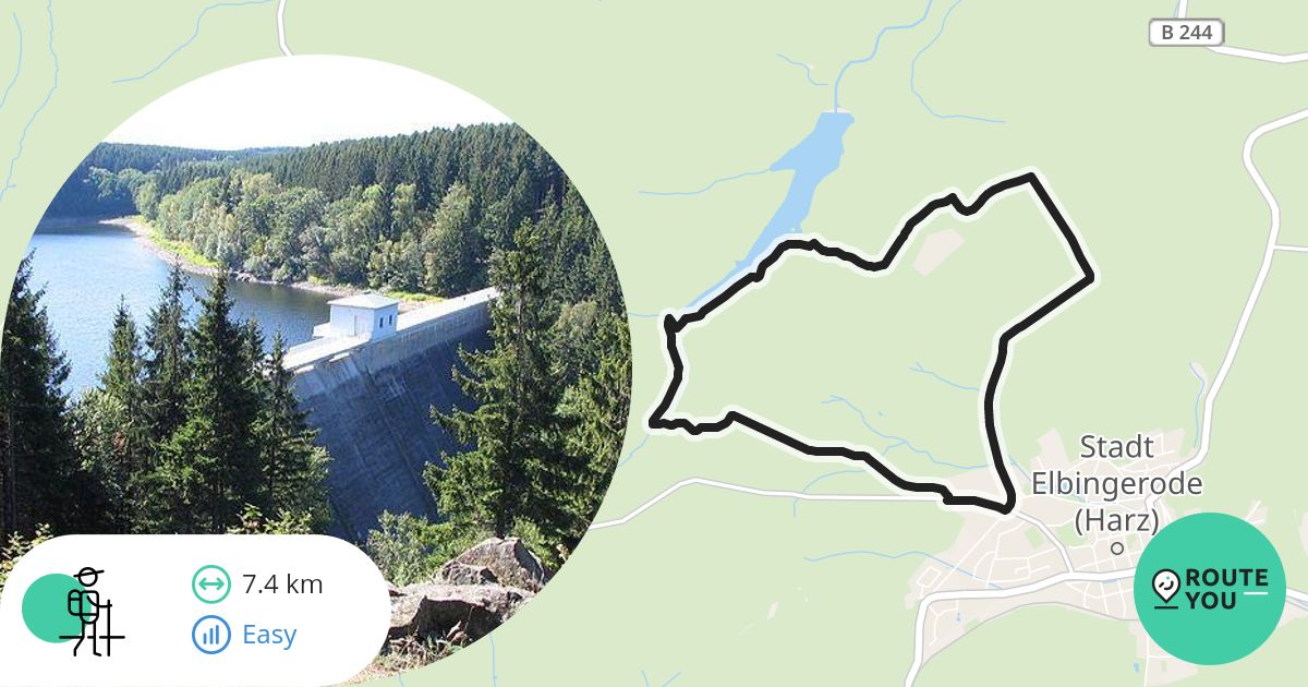 Forest Circular Hiking Trail - Hiking route | RouteYou
