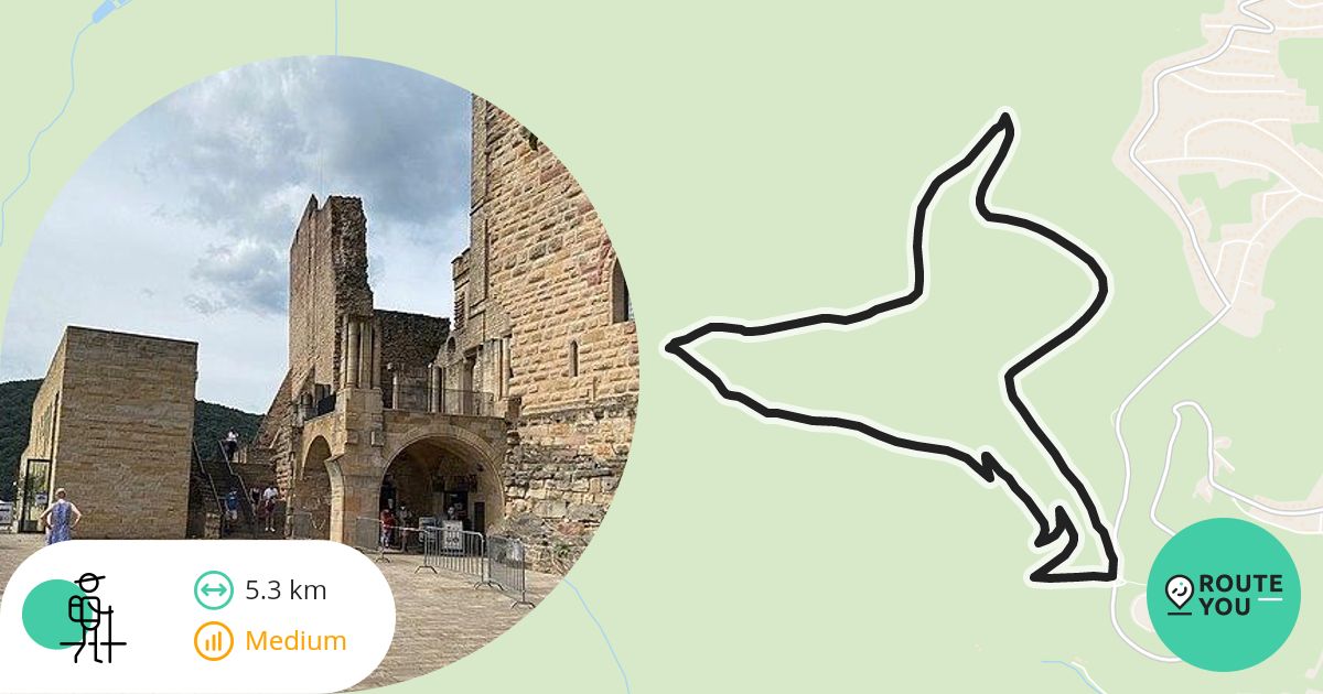 Circular hiking trail Hambach Castle 6 - Hiking route | RouteYou