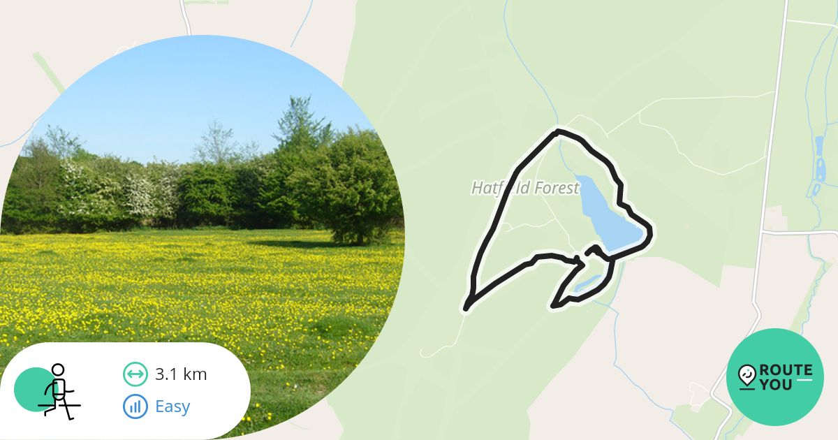 Capability Brown Walk, Hatfield Forest - Walking route | RouteYou
