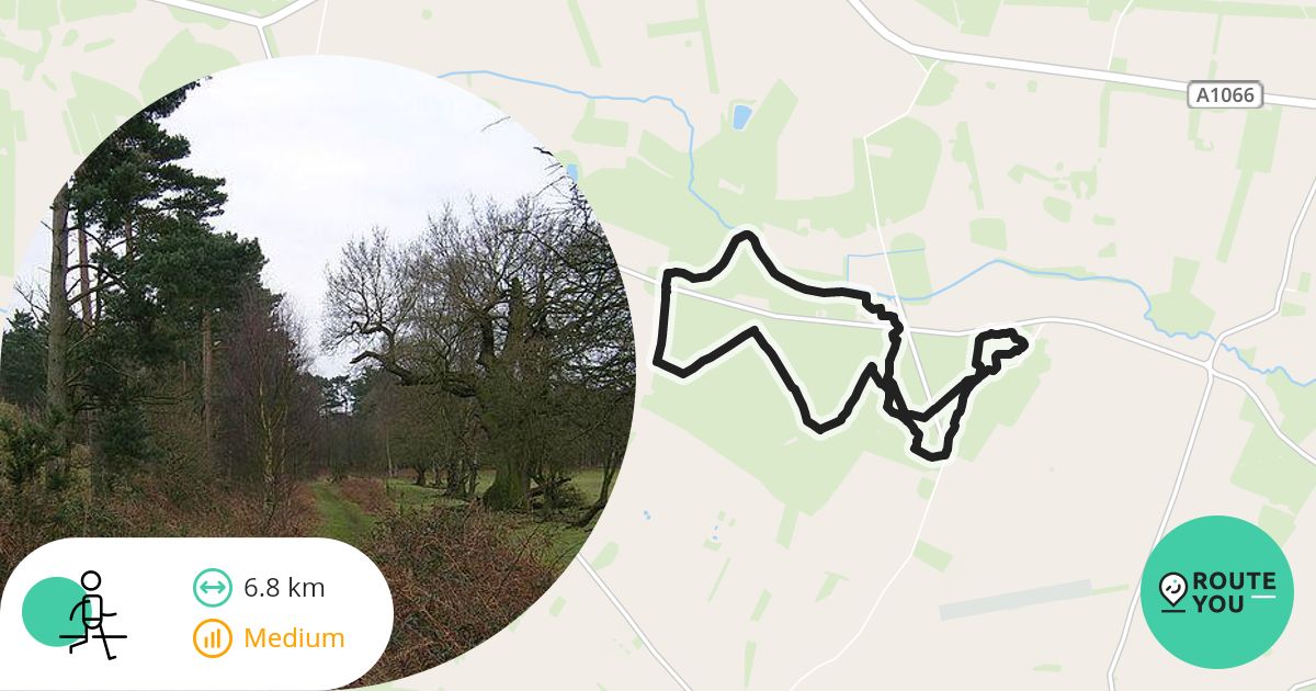 Knettishall Heath Circular Walk - Walking route | RouteYou