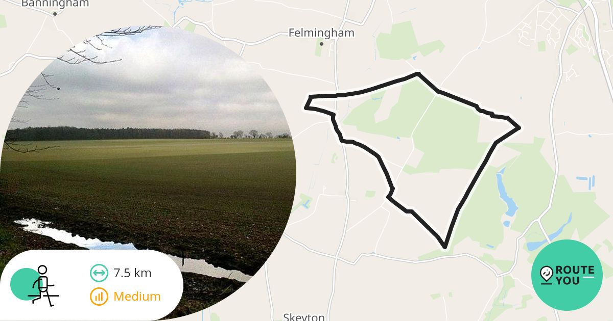 Walsham Wood Circular - Walking route | RouteYou