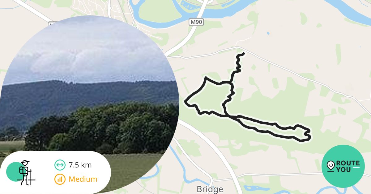 Fir Long Loop - Hiking route | RouteYou