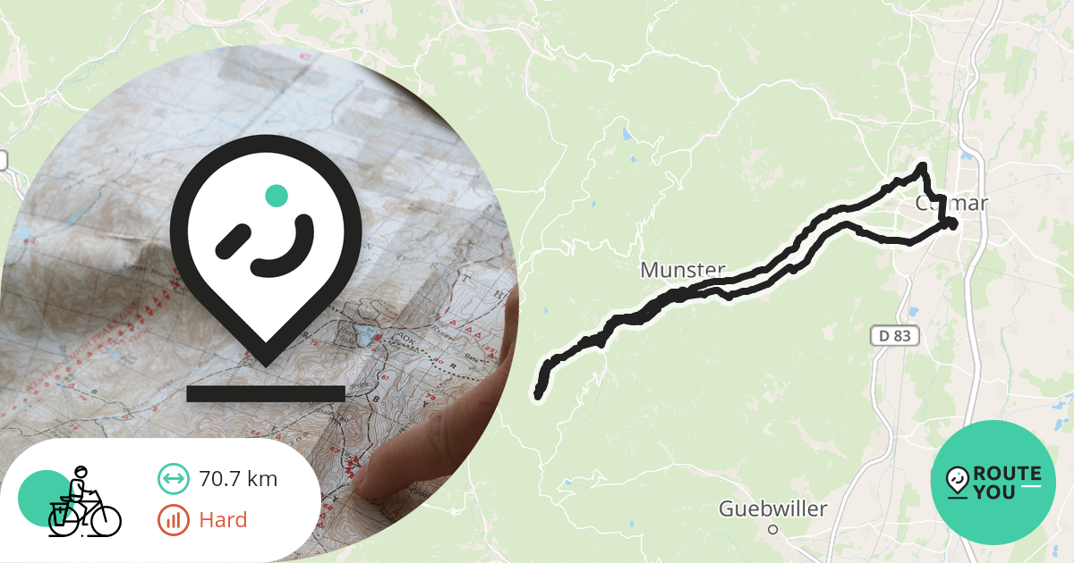 Vogezen VV21 en D10 - Balade à vélo | RouteYou
