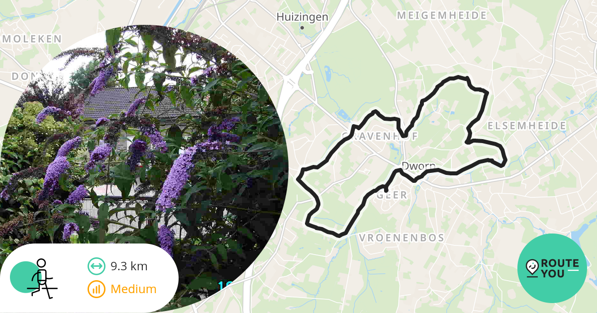 Dworp - wandelroute - Wandelroute | RouteYou