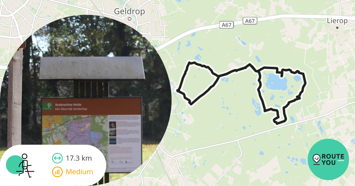 Rondje Strabrechtse heide - Wandelroute | RouteYou